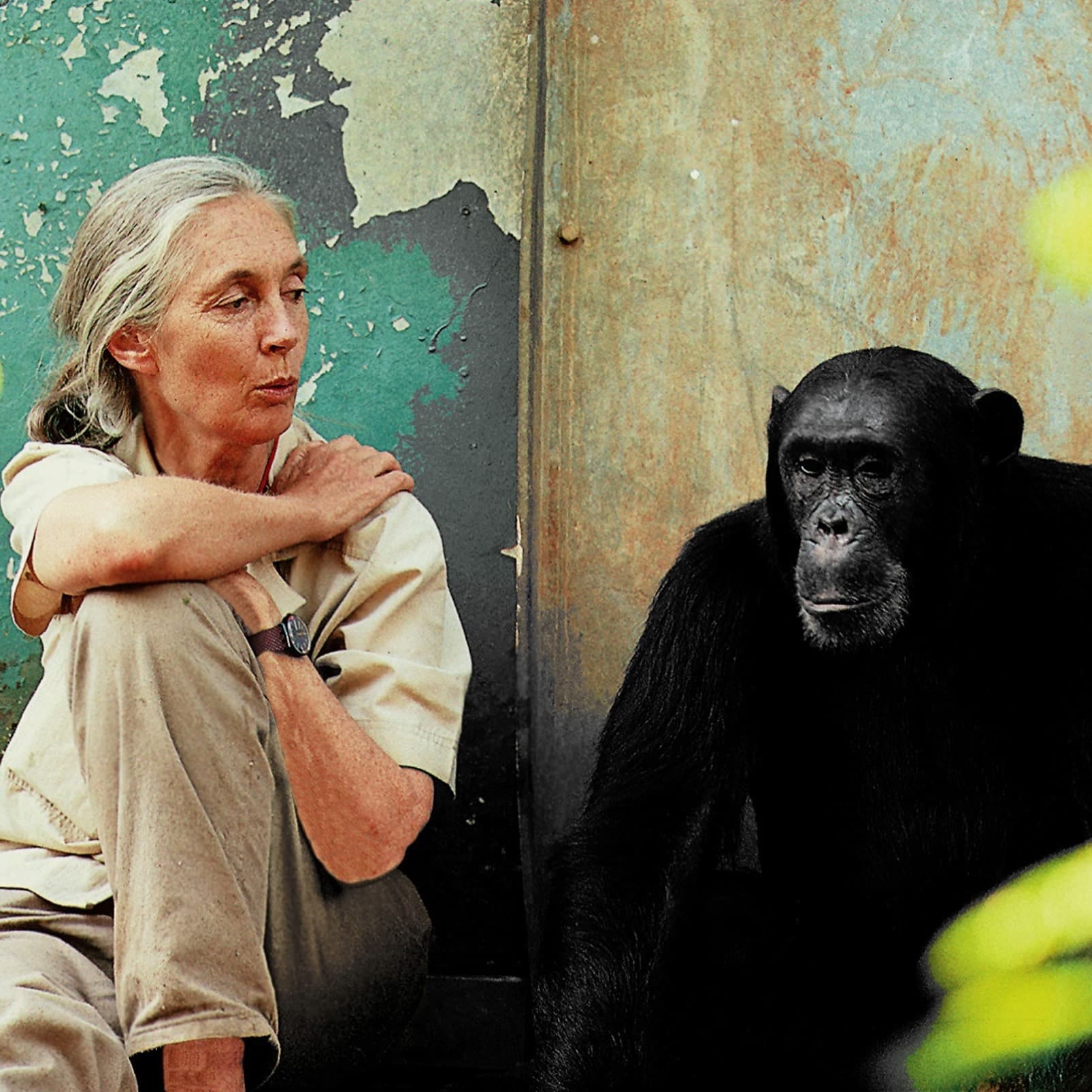 Rencontre avec Jane Goodall - Fondation GoodPlanet
