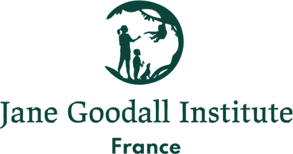 Rencontrez l'équipe du Jane Goodall Institute - Fondation GoodPlanet